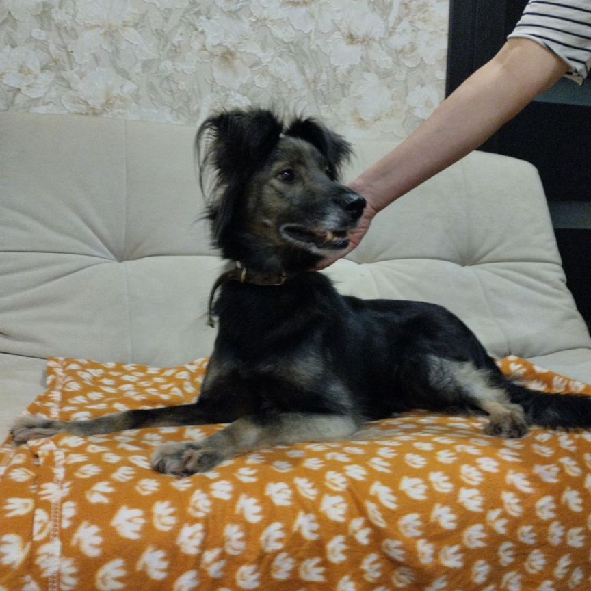 Яша, домашний малыш