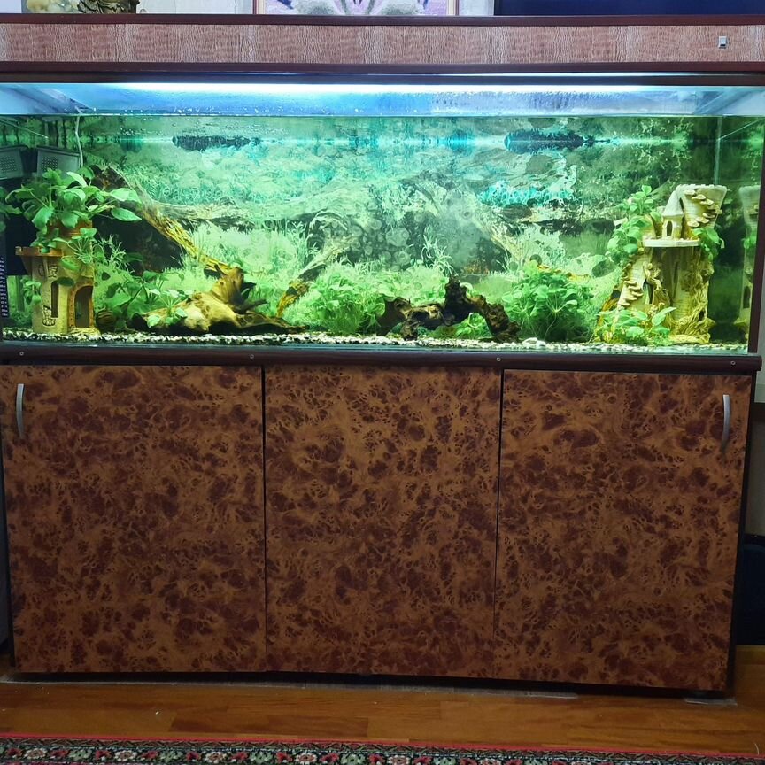 Аквариум с тумбой бу
