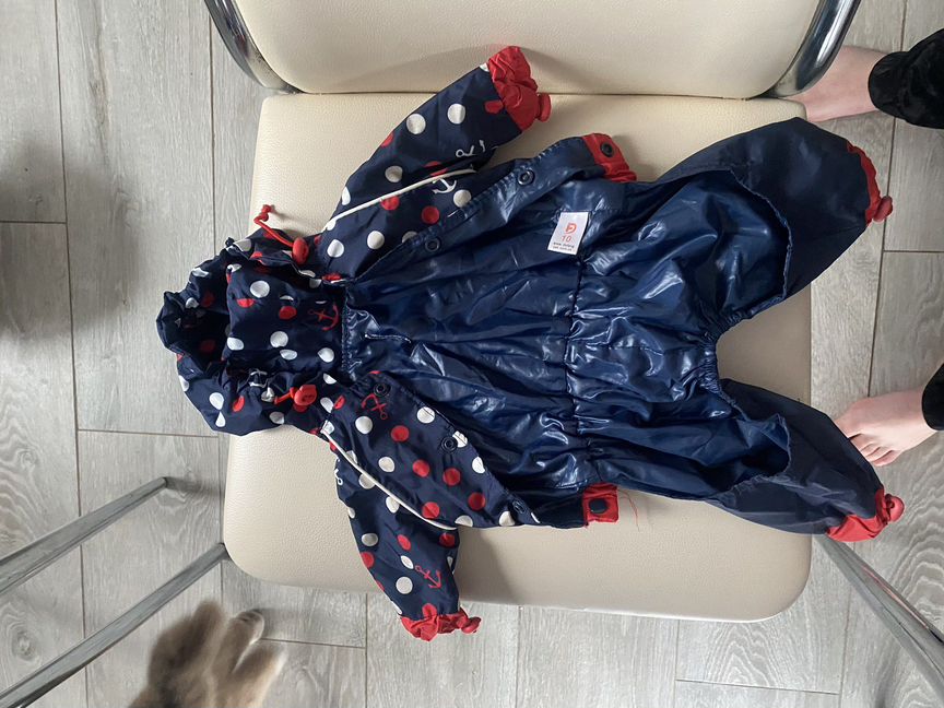 Одежда для собак