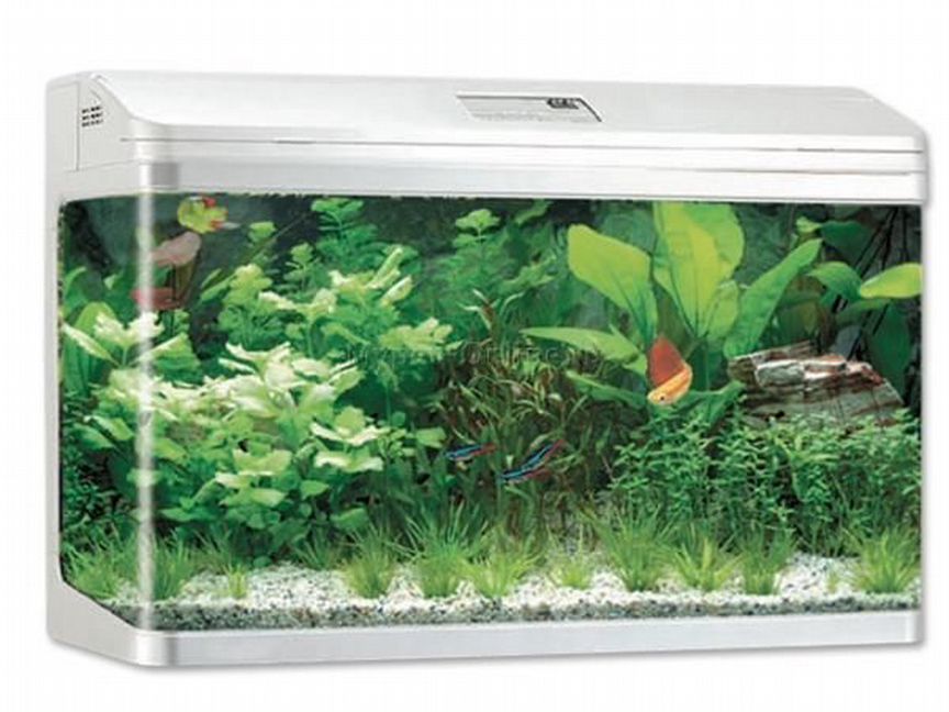 Аквариум новый Jebo R390 цвет Серый