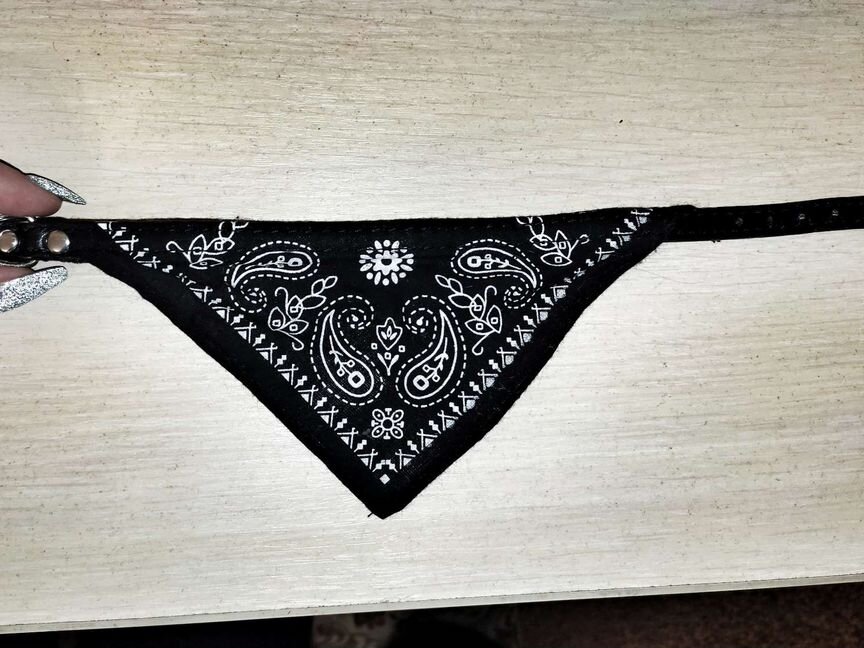 Ошейник бандана