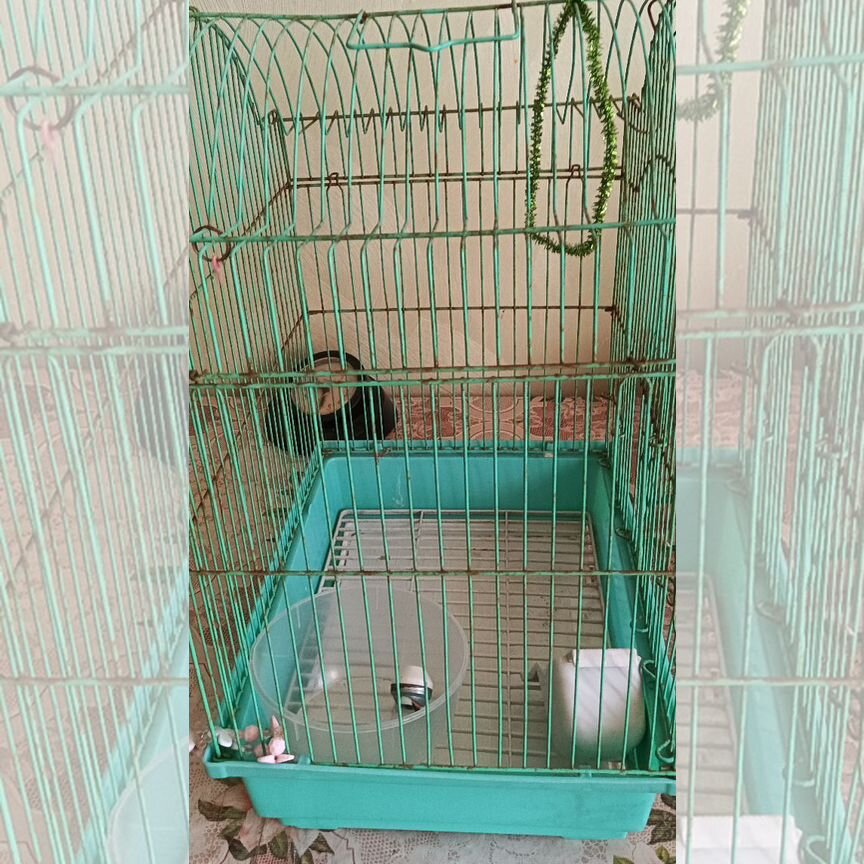 Клетка для птиц