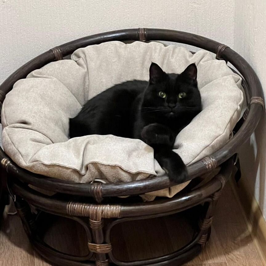 Папасан лежанка для кошек и собак