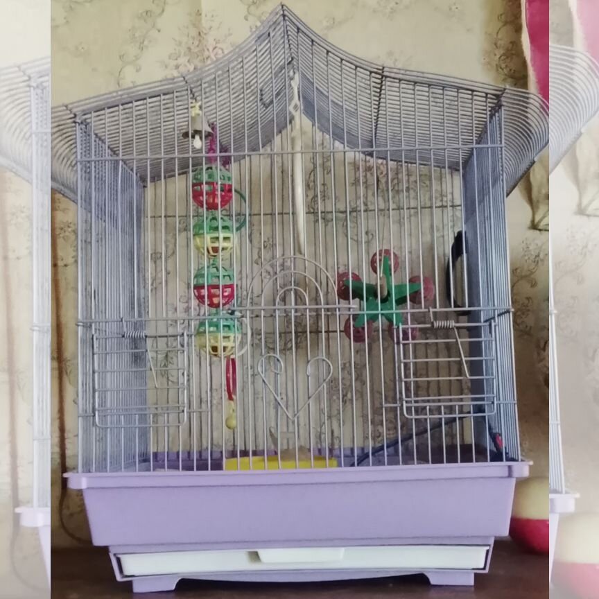 Клетка для птиц