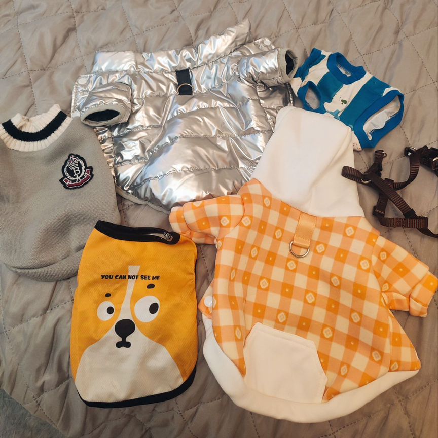 Одежда для маленьких собак