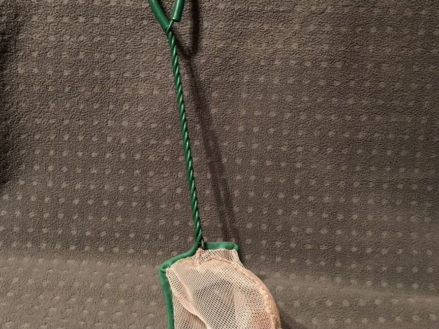 Сачок для аквариума