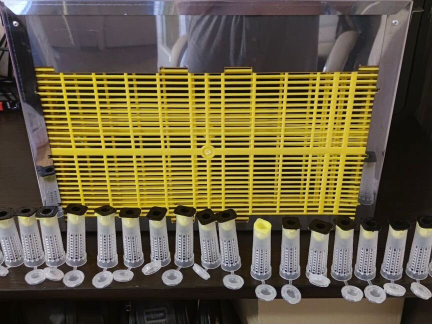 Изолятор для маток