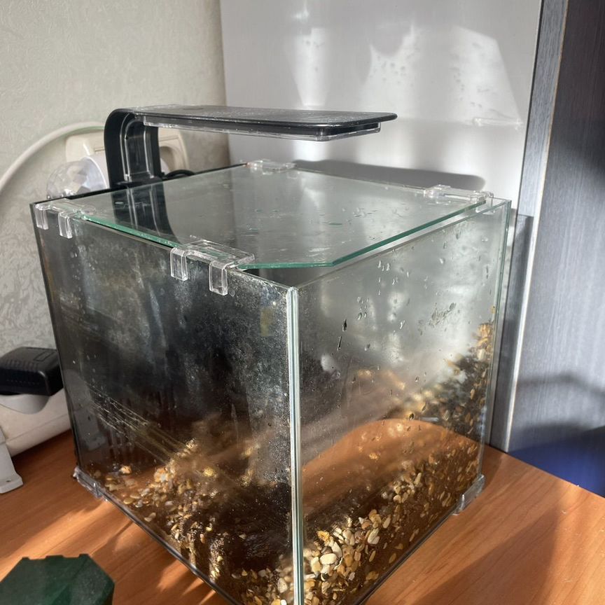 Аквариумы с оборудованием