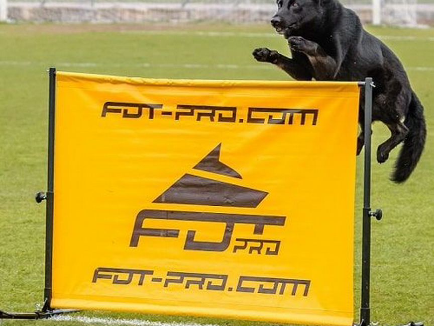 Легкий барьер для тренировки собак