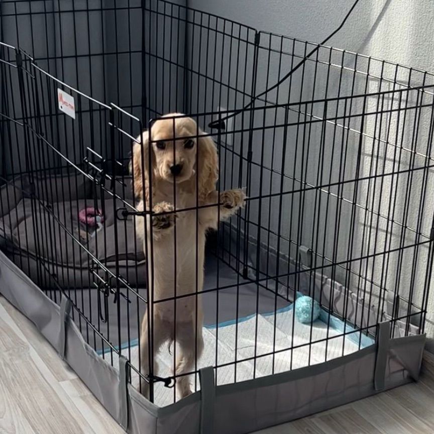 Вольер для собак 120*60