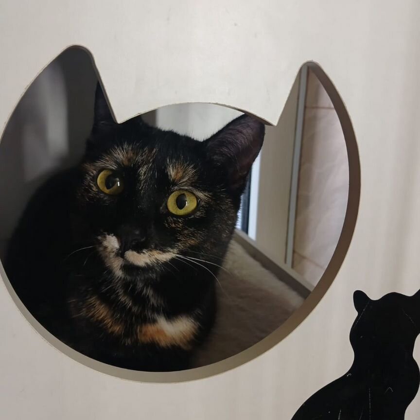 Алиса,10месяцев