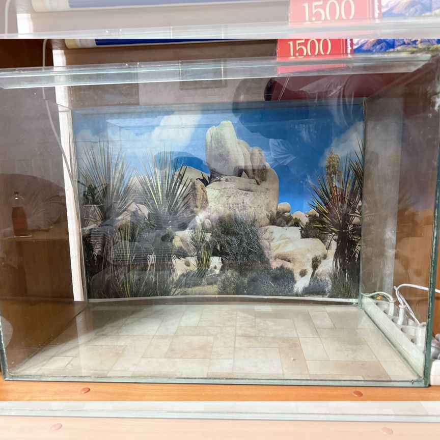 Аквариум