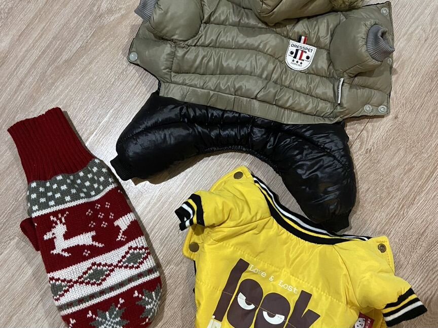 Одежда для маленьких собак