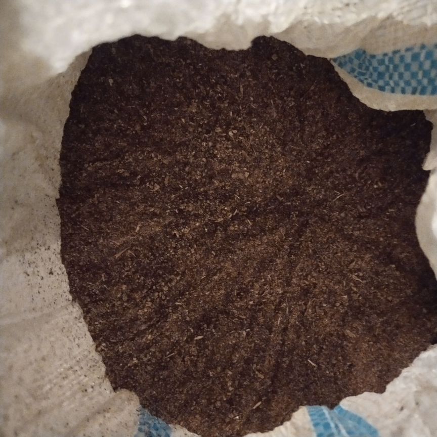 Рапсовый шрот