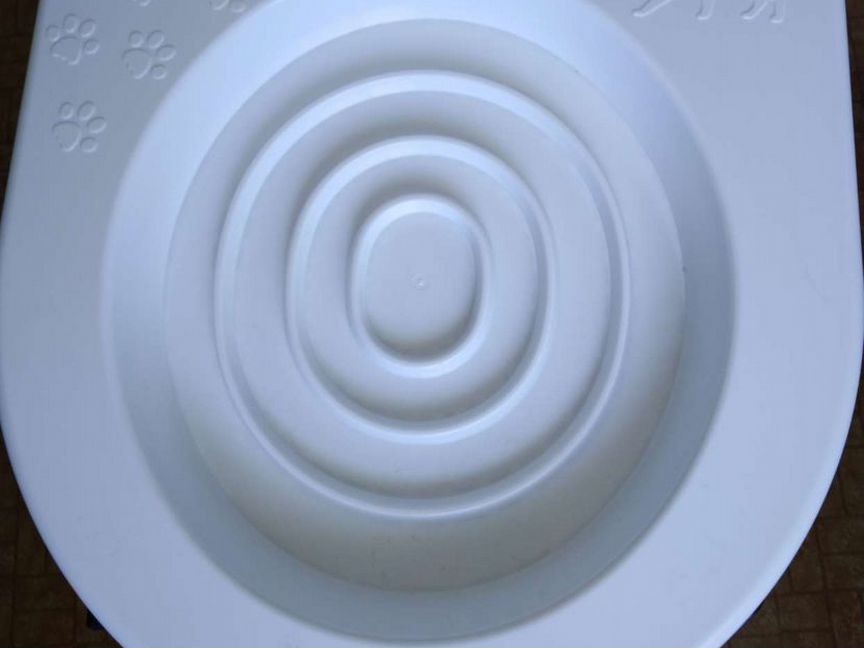 Приучение кота к унитазу