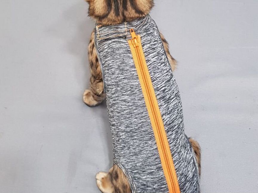 Попона для кошек