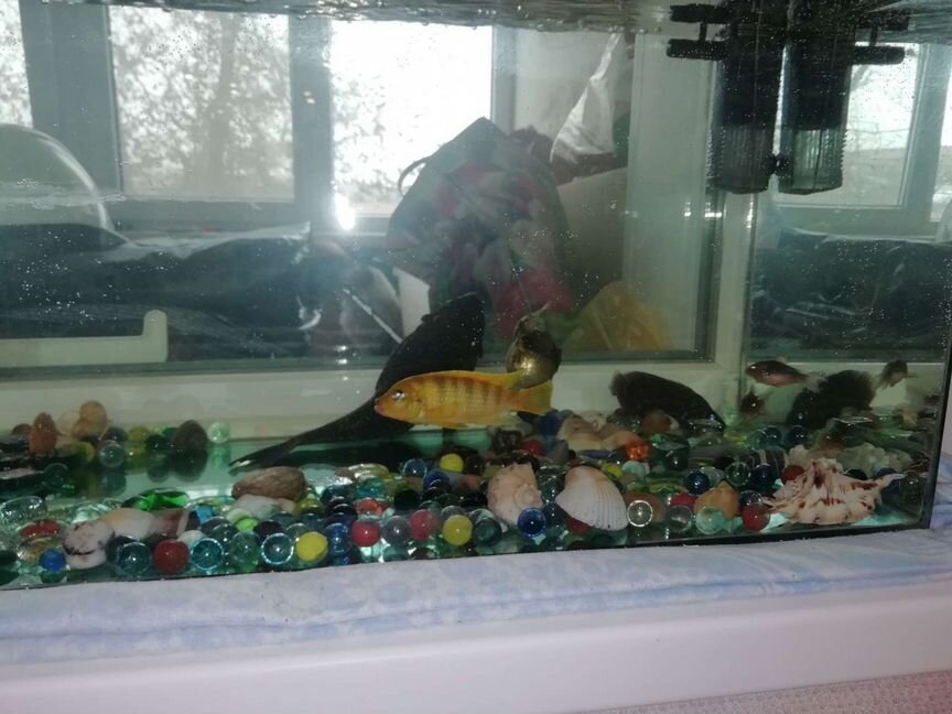 Украшение для аквариума