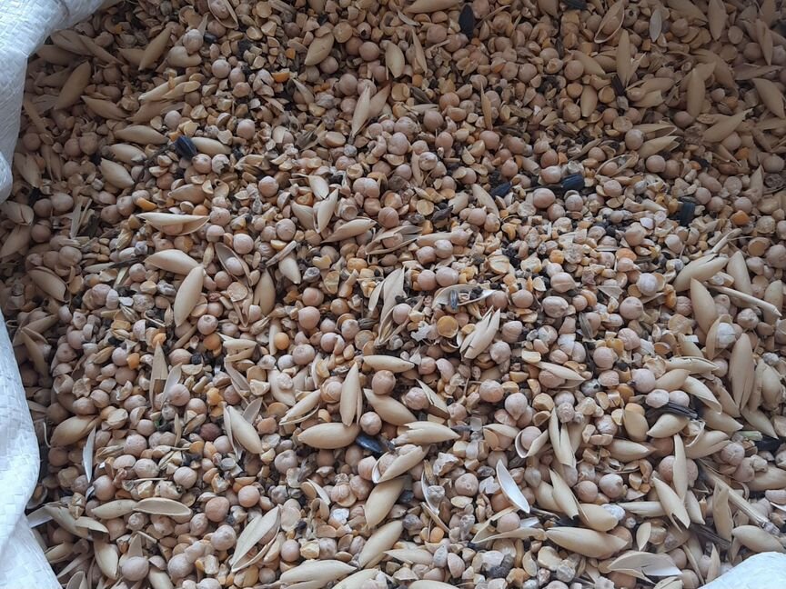 Отходы нута