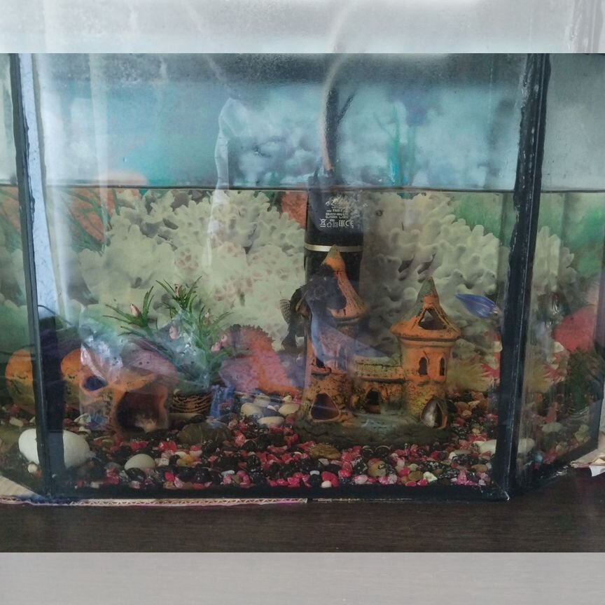 Аквариум с рыбаки 40 литров