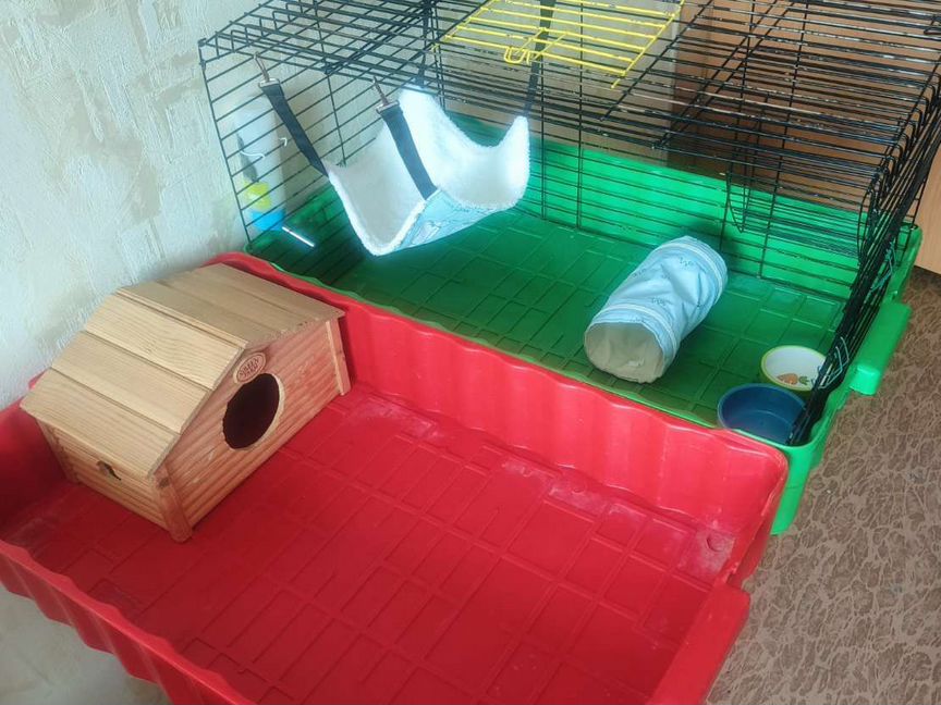 Для морских свинок