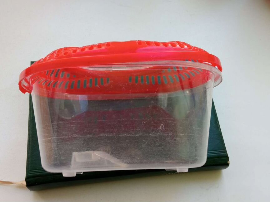 Контейнер-переноска с ручкой