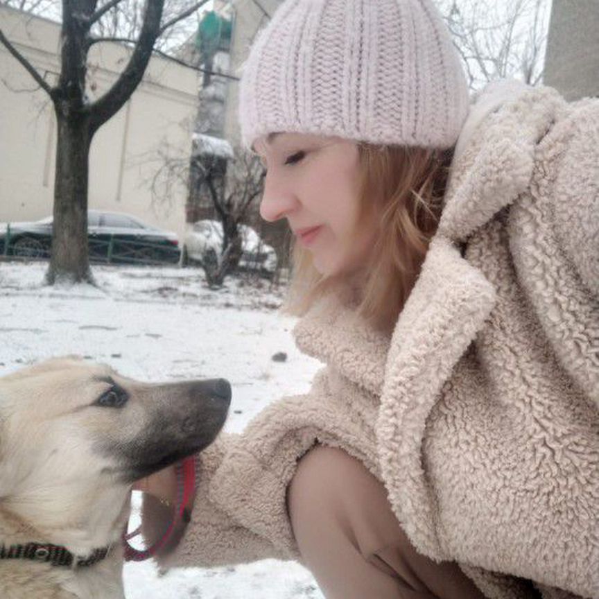 Щенок в добрые руки бесплатно