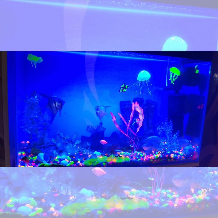 Аквариум 160 л. с оборудованием