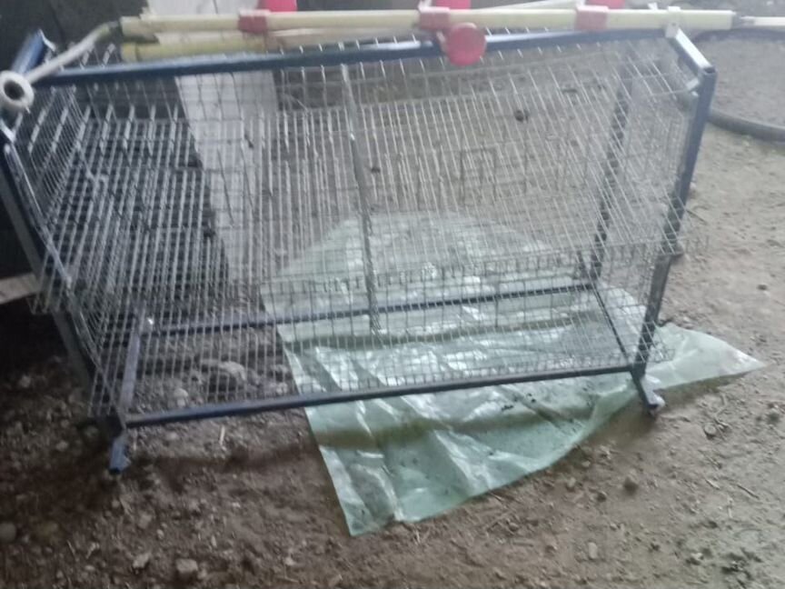 Клетка для перепёлок