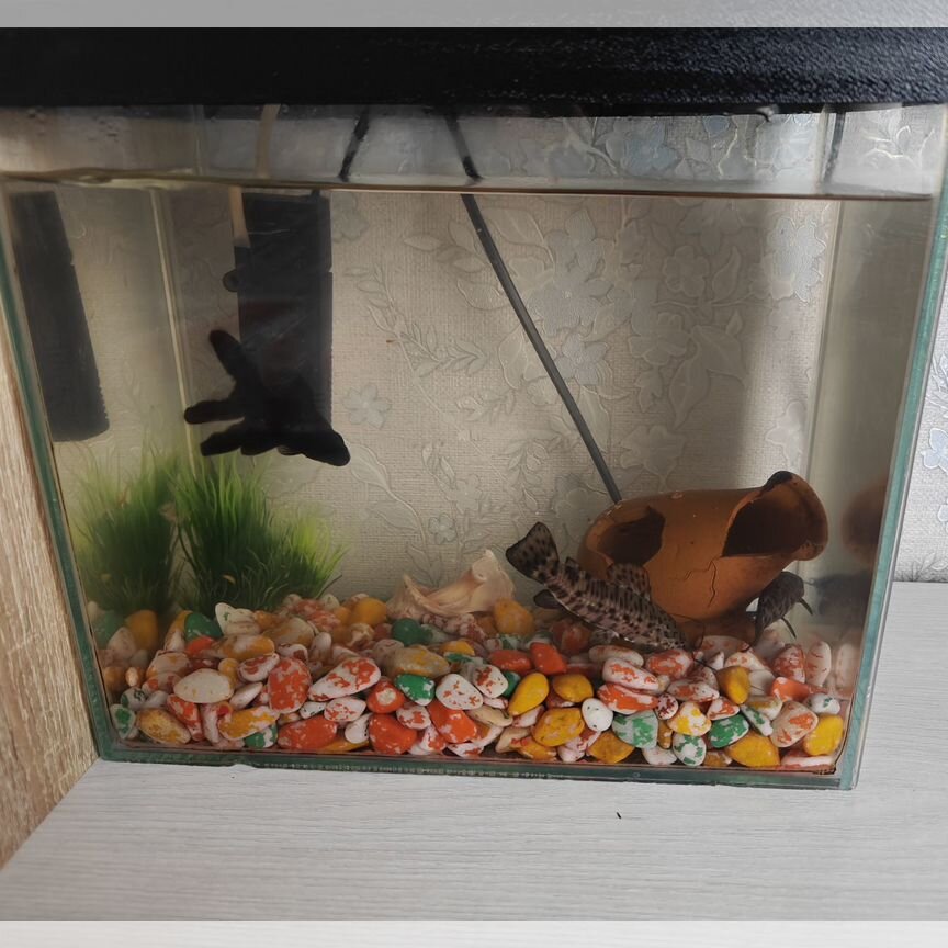 Аквариум бу с рыбками