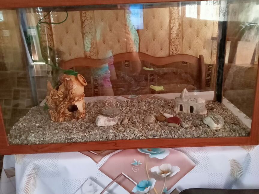 Аквариум