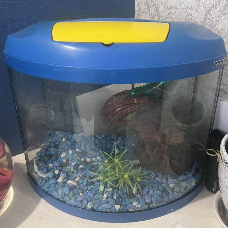Аквариум 30 литров