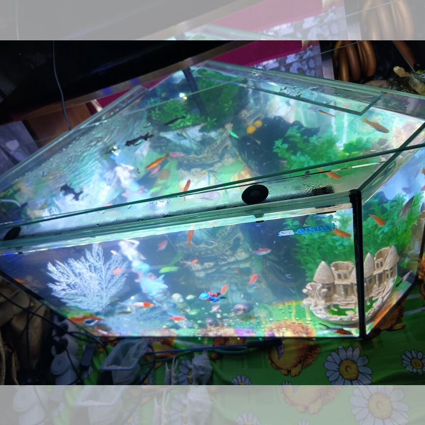 Аквариум 100Л