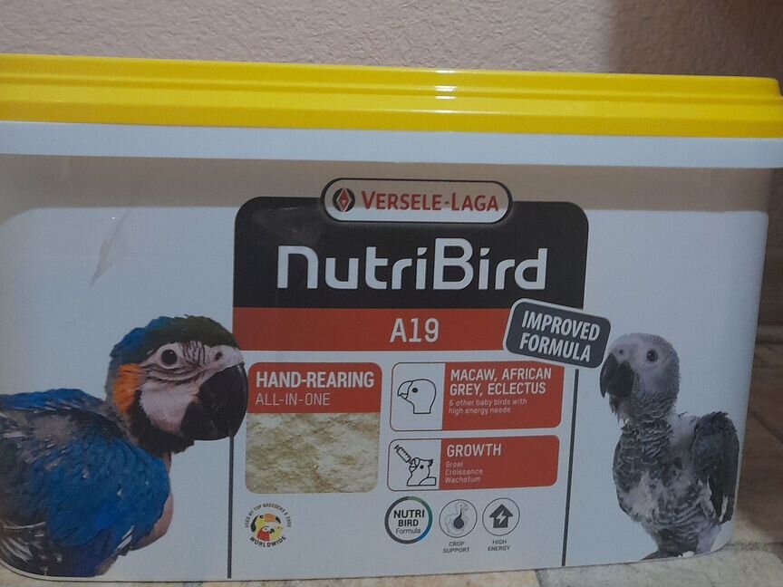 Каша