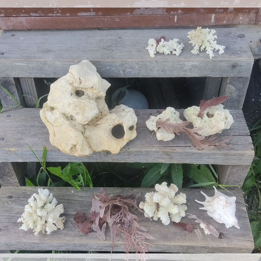 Аксессуары для аквариума