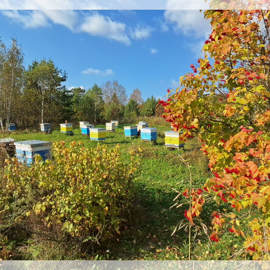 Улей 16 рамочный