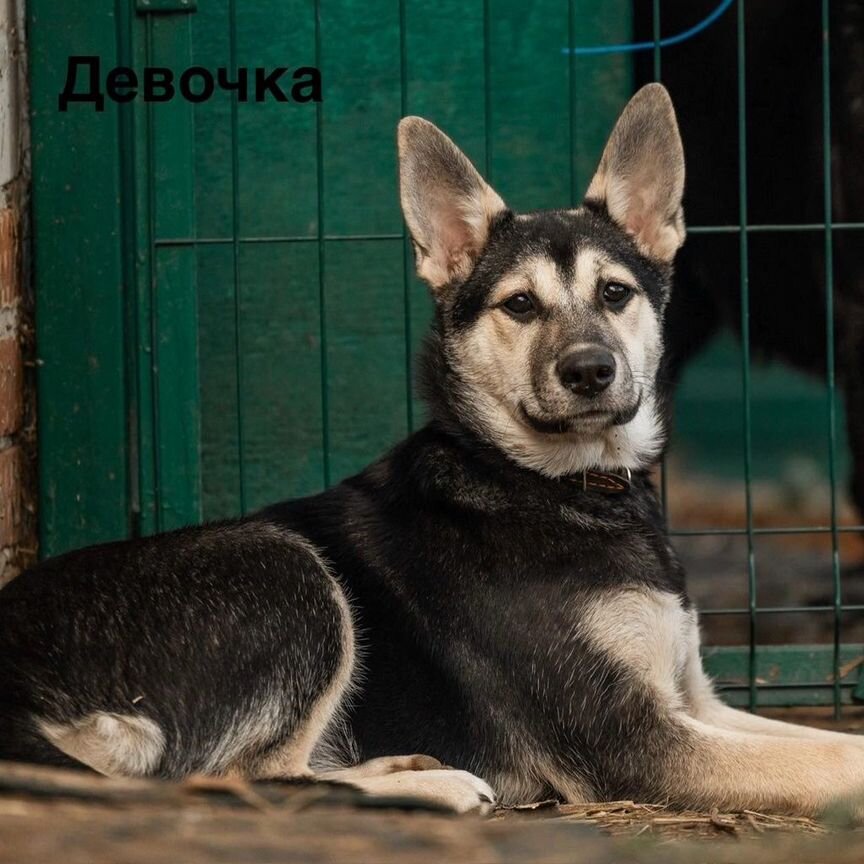 Взрослые дети