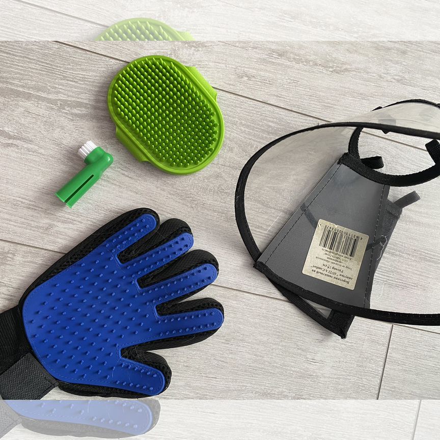 Воротник для животных