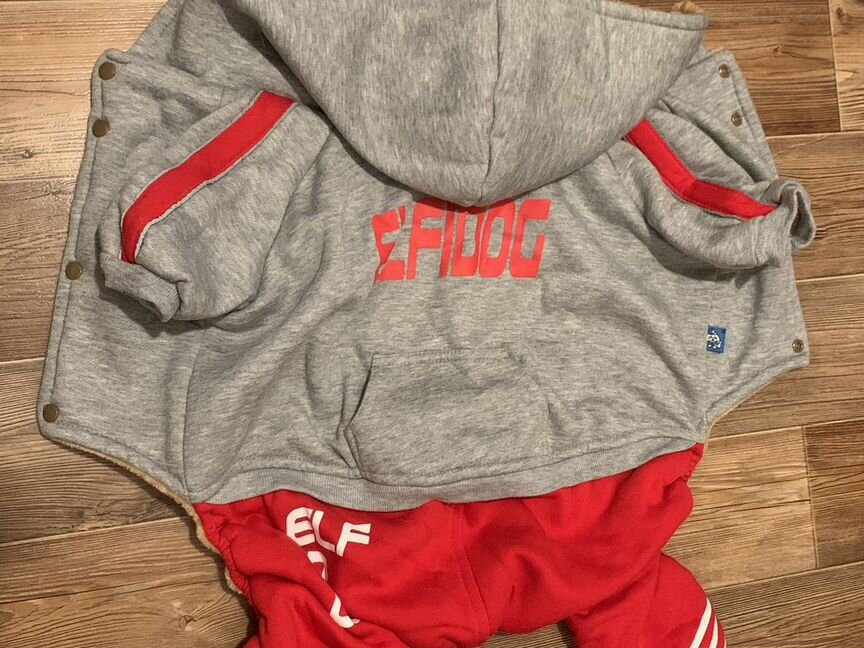 Собачий спортивный костюм