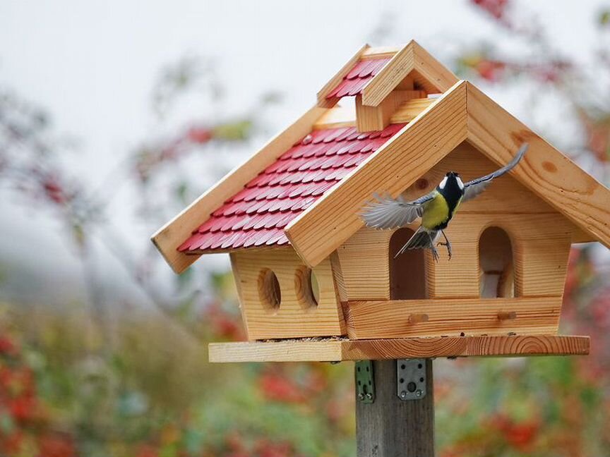 Птичья кормушка