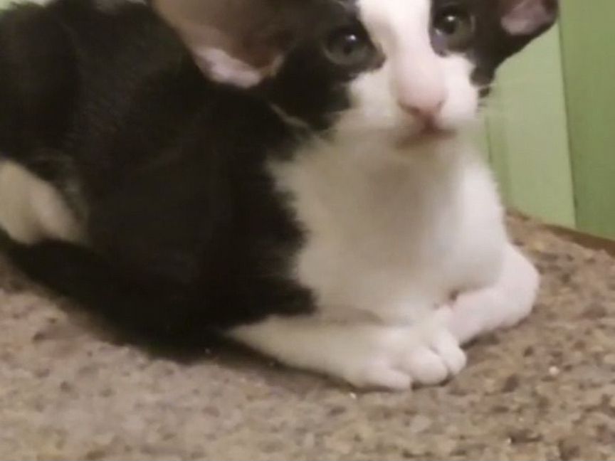 Экстрим девочка