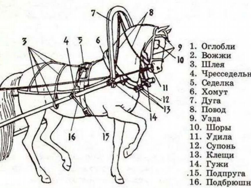 Сбруя б/у для лошади Конские принадлежности