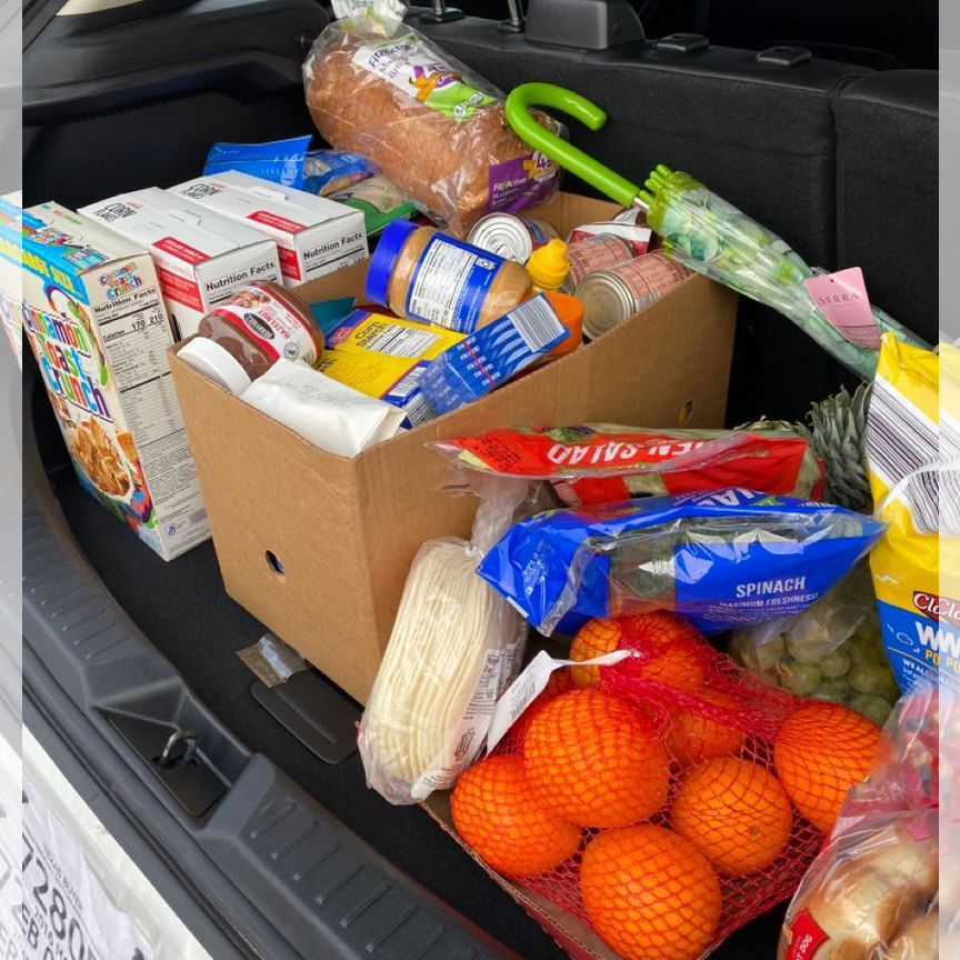 На корм животным