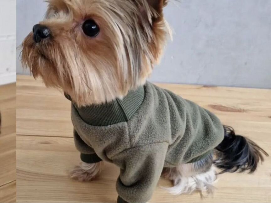 Кофта для щенка