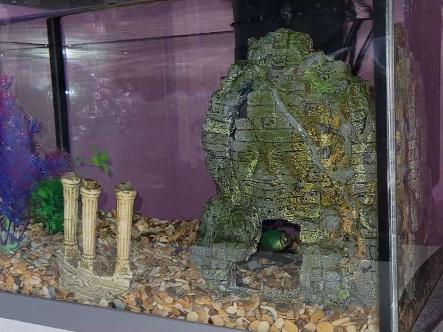 Аквариум Tetra 20л