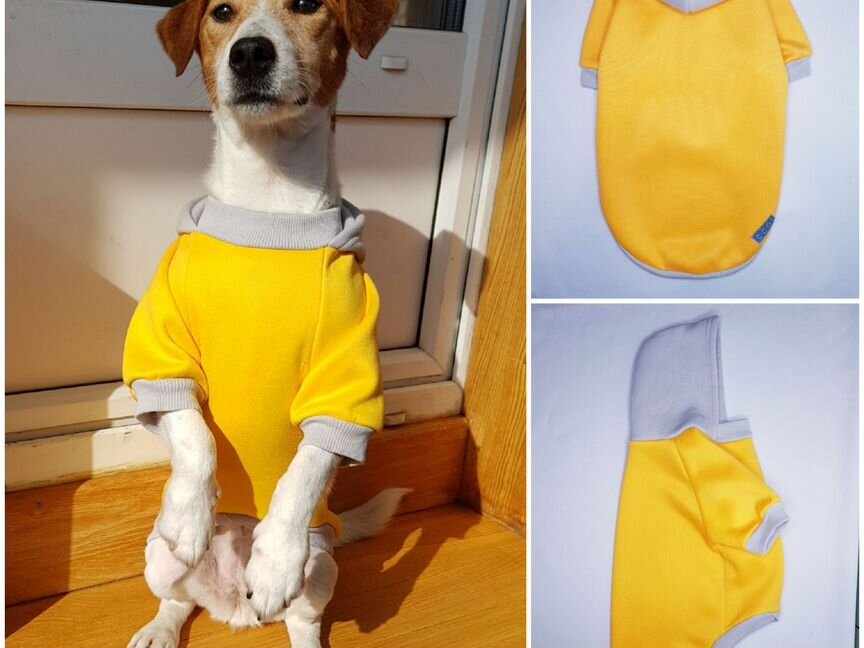 Одежда для собак. Толстовка размер XXL