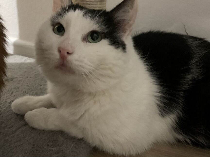 Подарите надежду