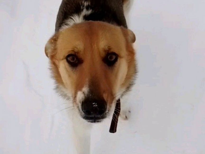 9 мес, обожает детей)