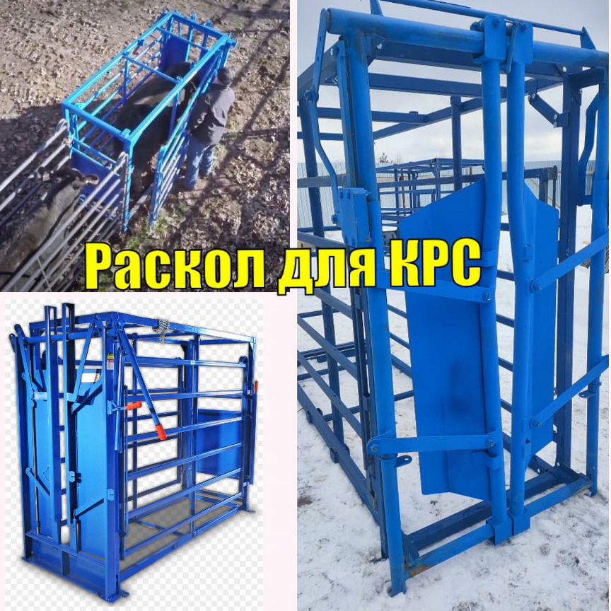 Раскол для крс