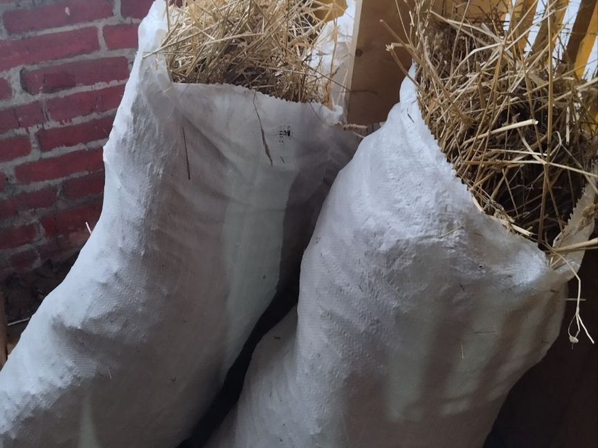 Сено для подстилки собакам