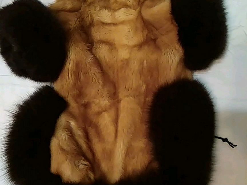 Одежда для собак